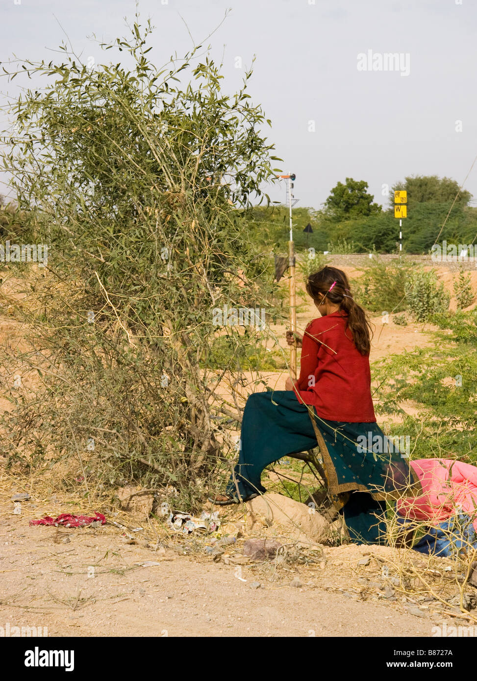 Village woman working in field Rajasthan India Stock Photo - Alamy