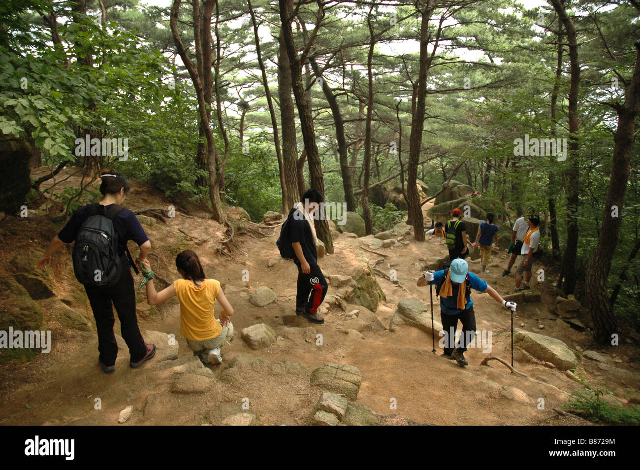 Korea trail hi-res stock photography and images - Alamy