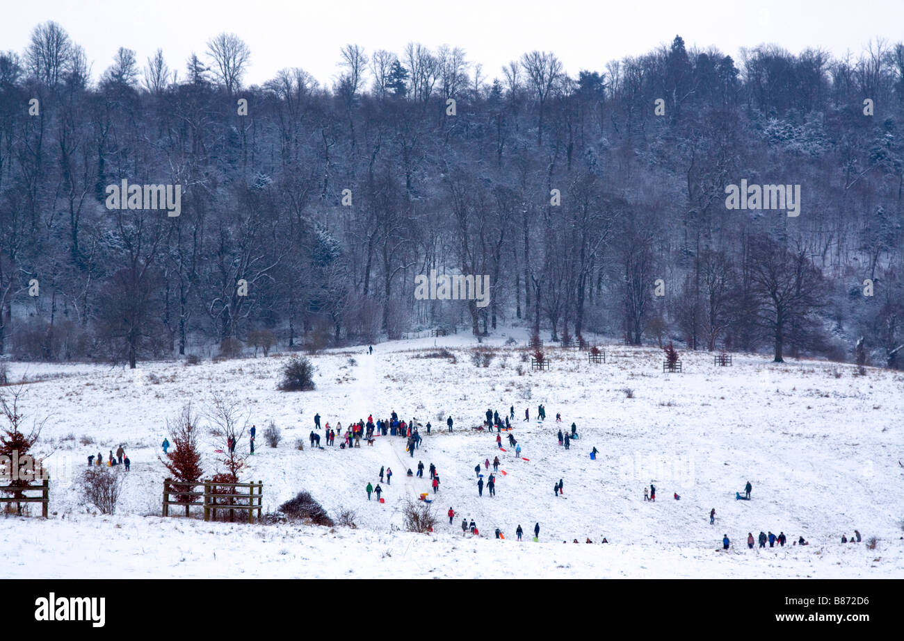 Tring park hi-res stock photography and images - Alamy