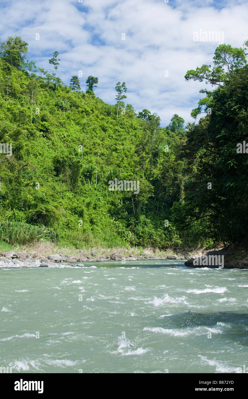 Central America, Costa Rica. The beautiful Pacuare River is a rafters ...