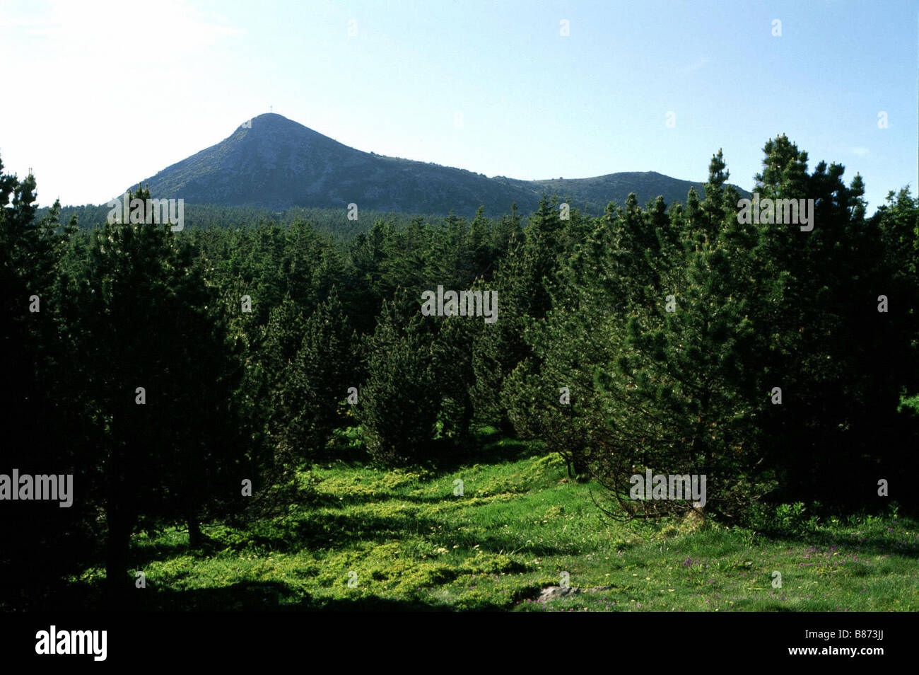 View from the cross of Peccata towards Mont Mezenc Stock Photo - Alamy