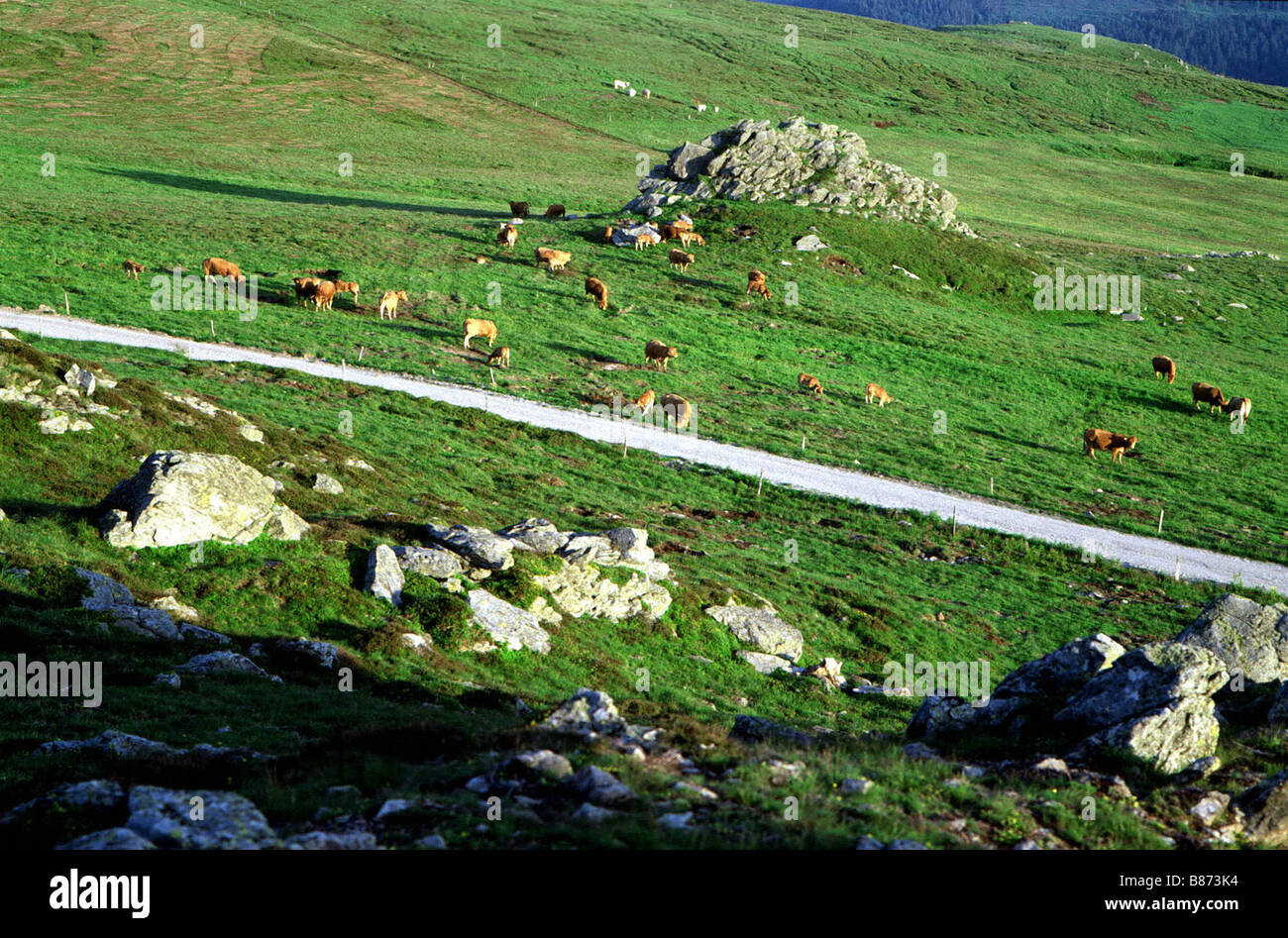 Marmaille Stock Photo - Alamy
