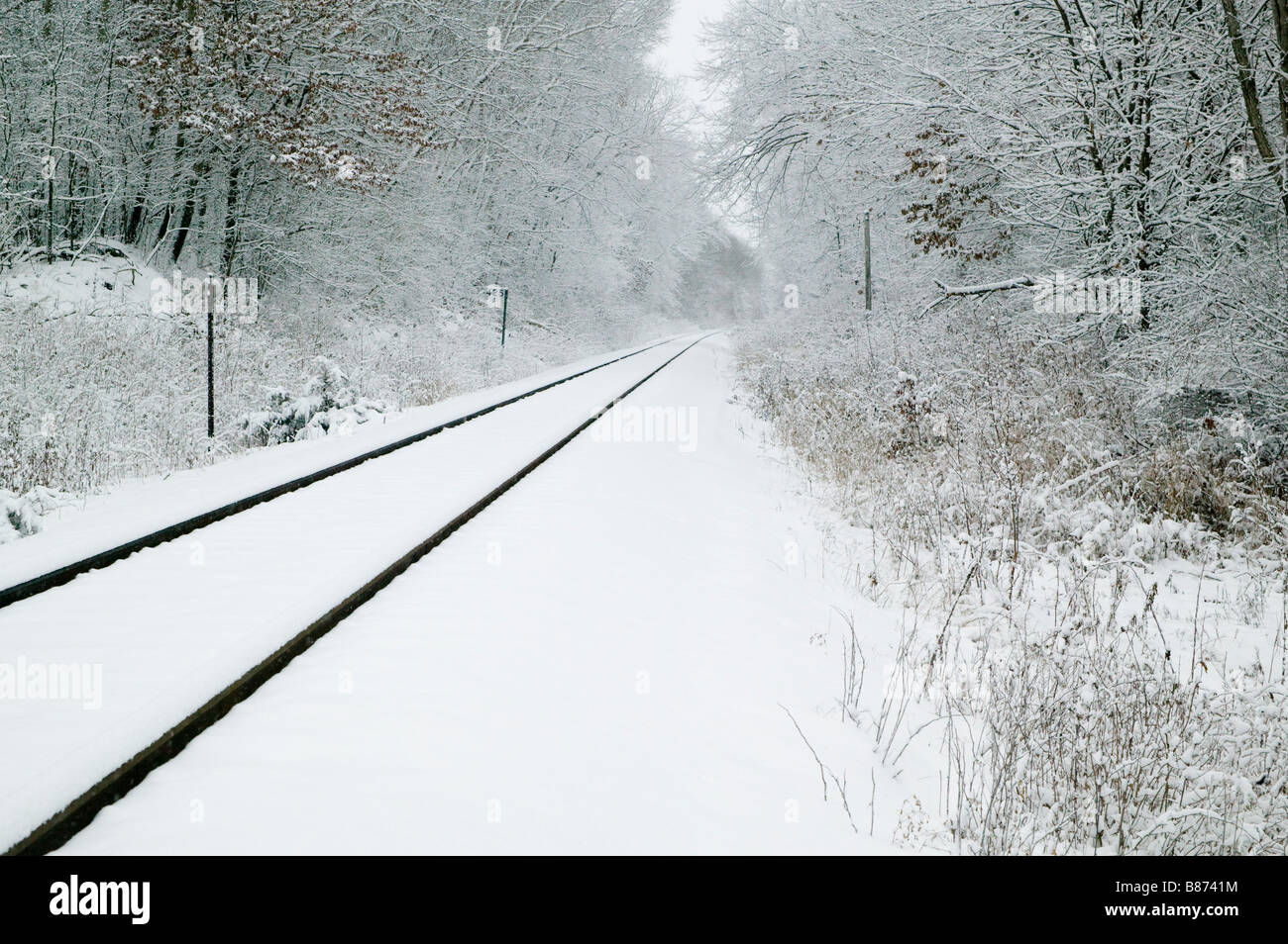 A railroad track goes through a snowy forest Stock Photo - Alamy
