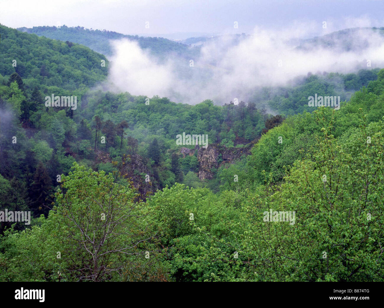 Gimel waterfalls in the limousin area view of the woods hi-res stock ...
