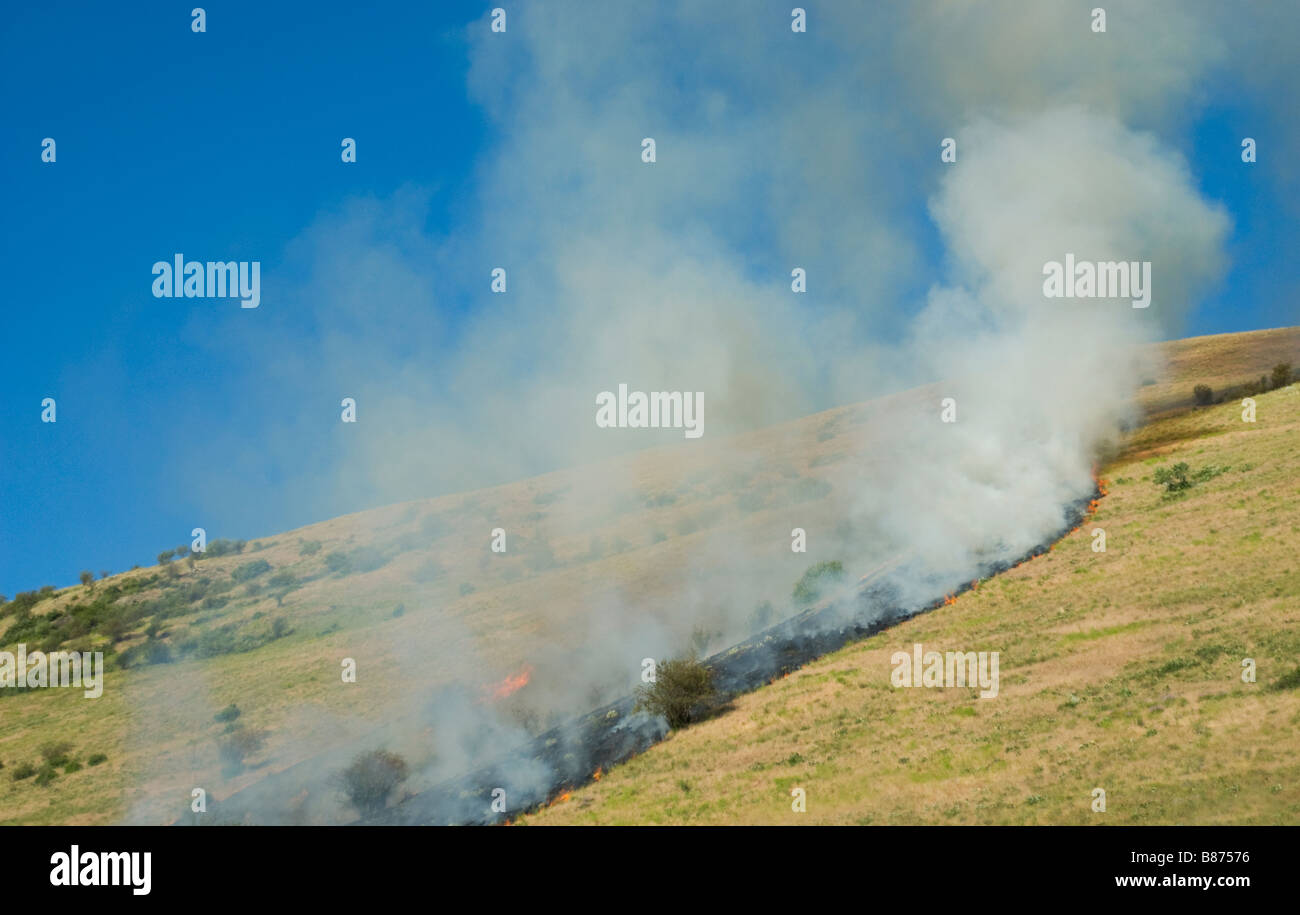 Starting wild fire on Mount Sentinel in Missoula, Montana Stock Photo ...