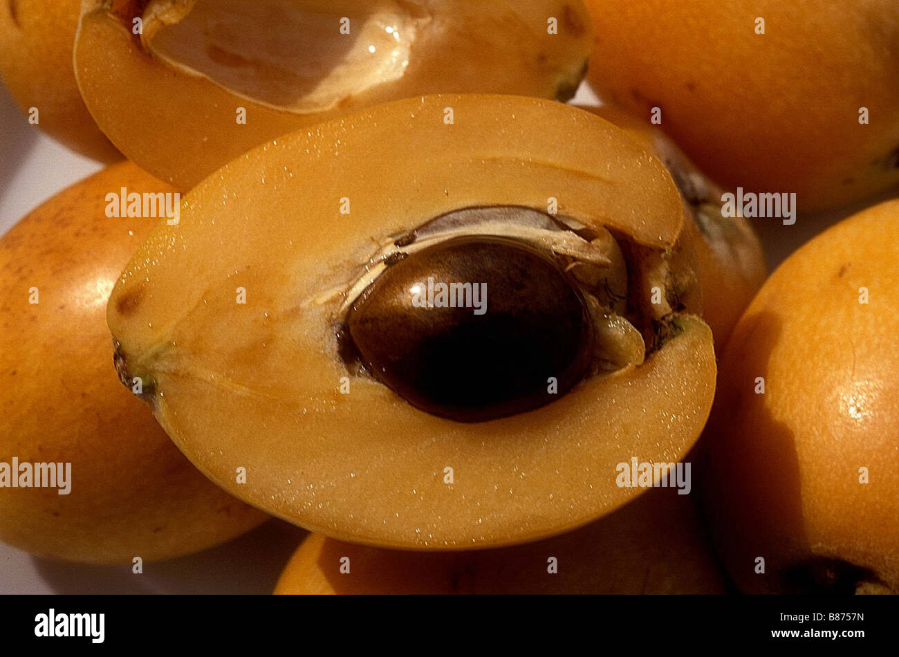 Nefle hi-res stock photography and images - Alamy