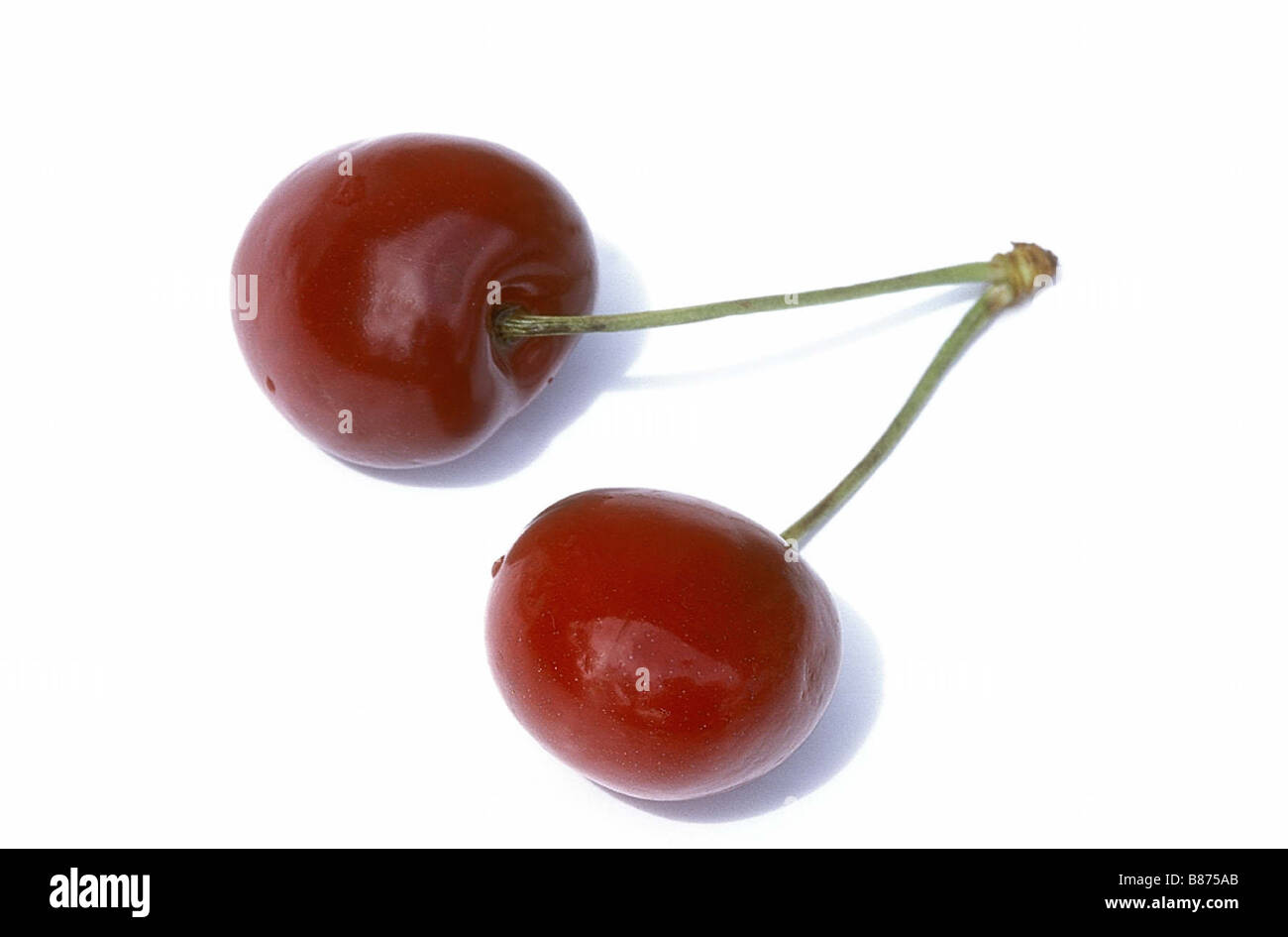 Cerise Cut Out Stock Images & Pictures - Alamy