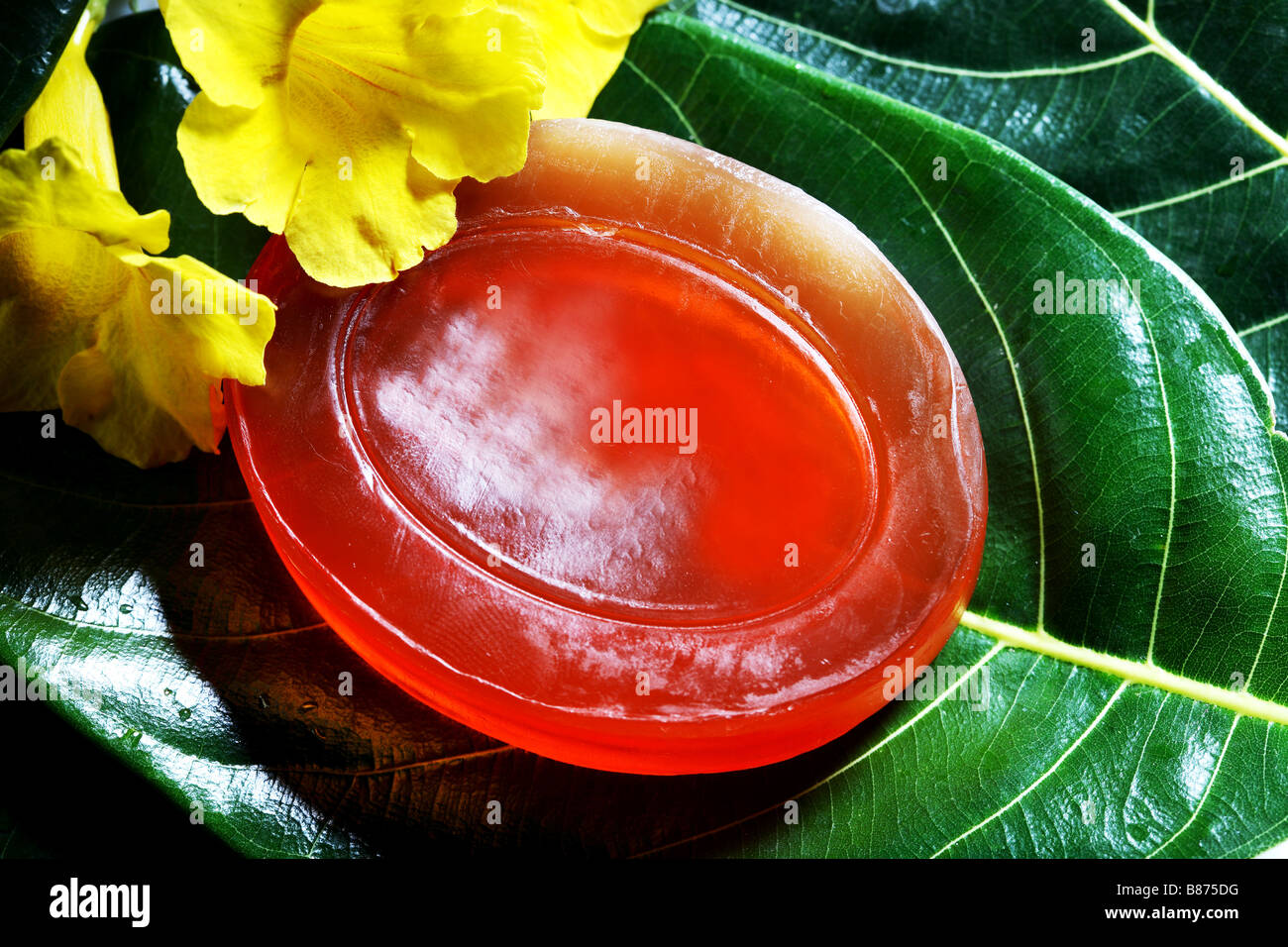 Close up of a soap Stock Photo - Alamy
