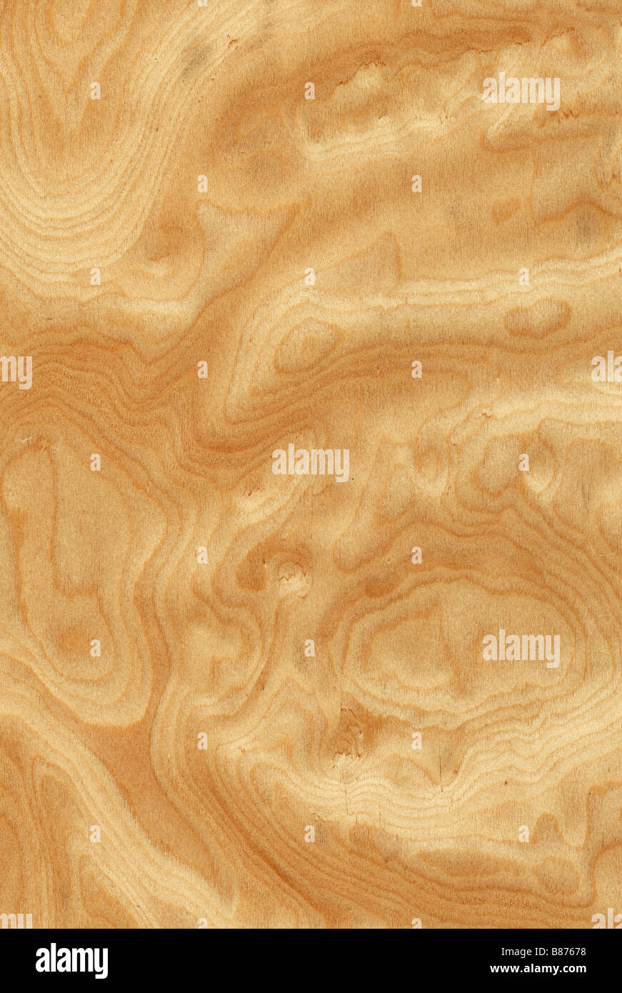 Texture of ash tree s root sawing high detailed wood texture series ...