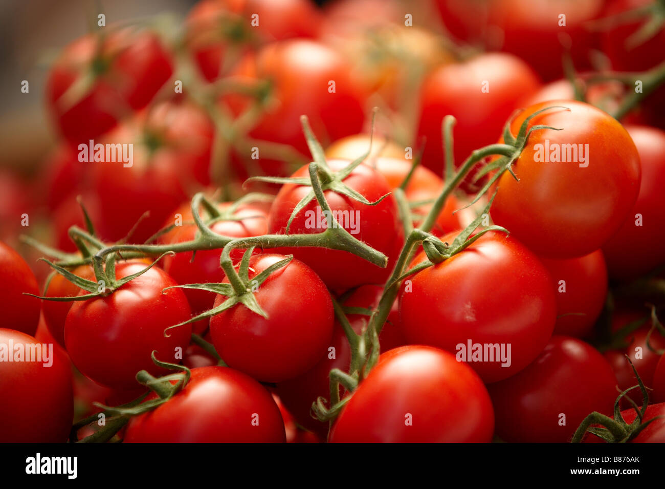Tomato pips hi-res stock photography and images - Alamy
