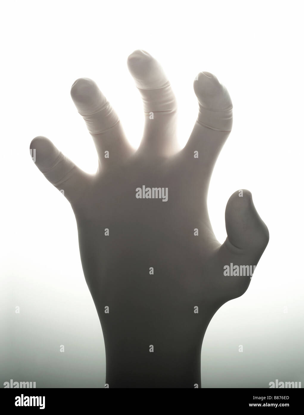 Plastic Gloved Hand Stock Photo - Alamy