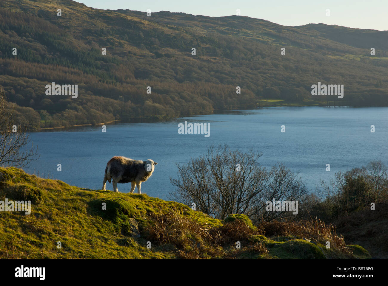 Torver common lake district hi-res stock photography and images - Alamy