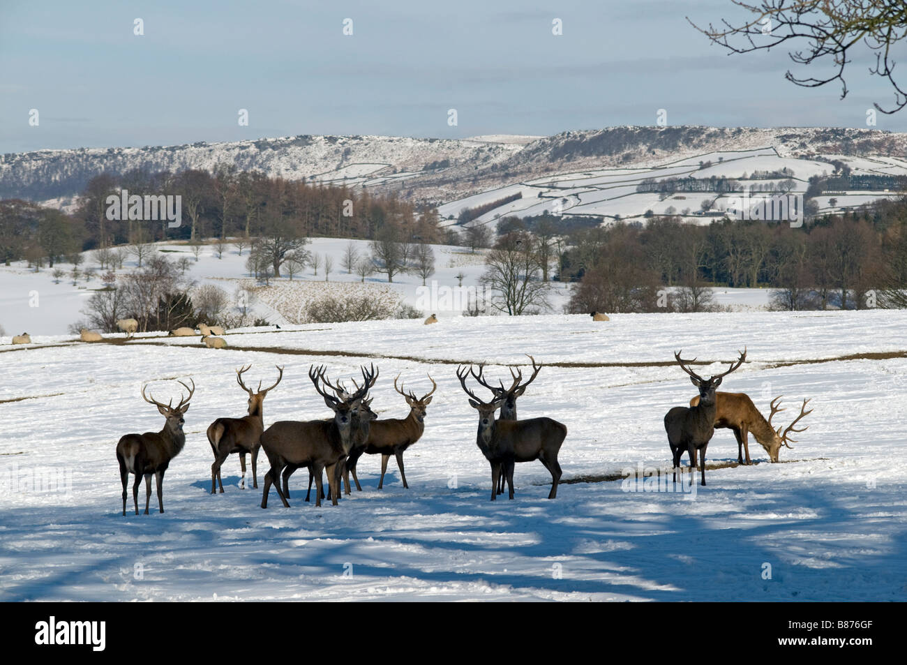 Snow scene in the Derbyshire countryside after the heavy snow February ...