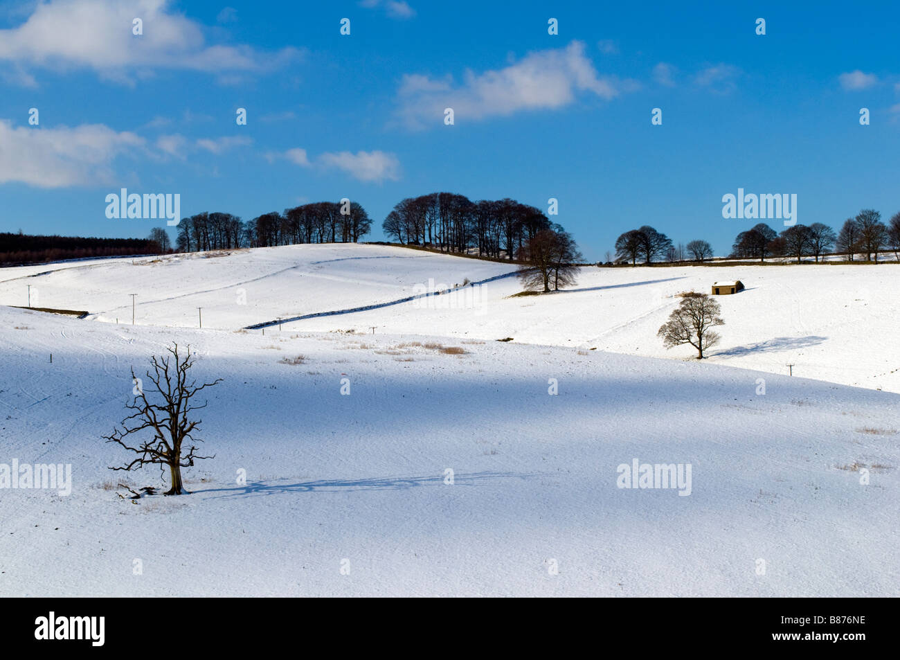 Snow scene in Derbyshire countryside after the heavy snow in Great ...