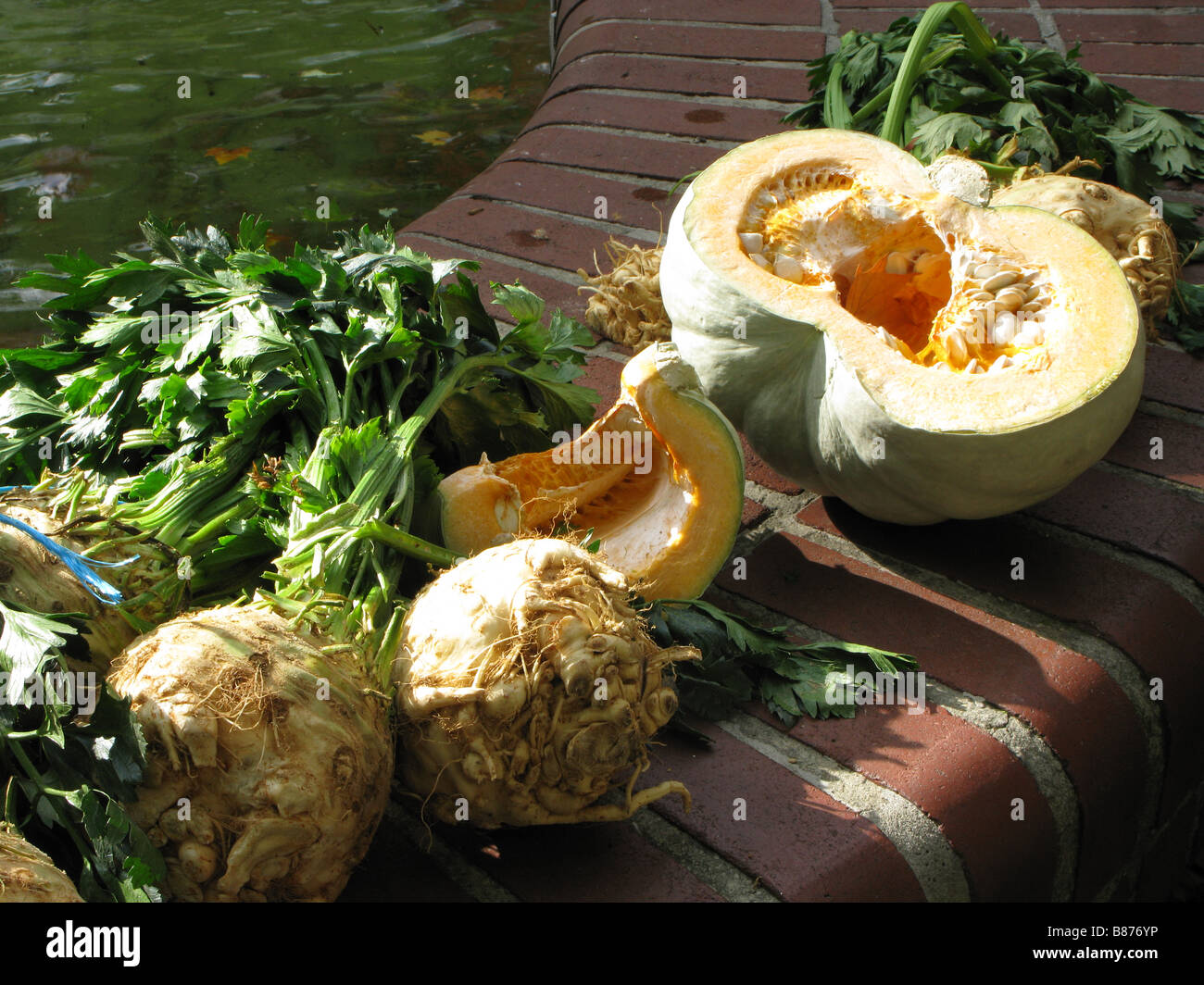 Sellerie hi-res stock photography and images - Alamy