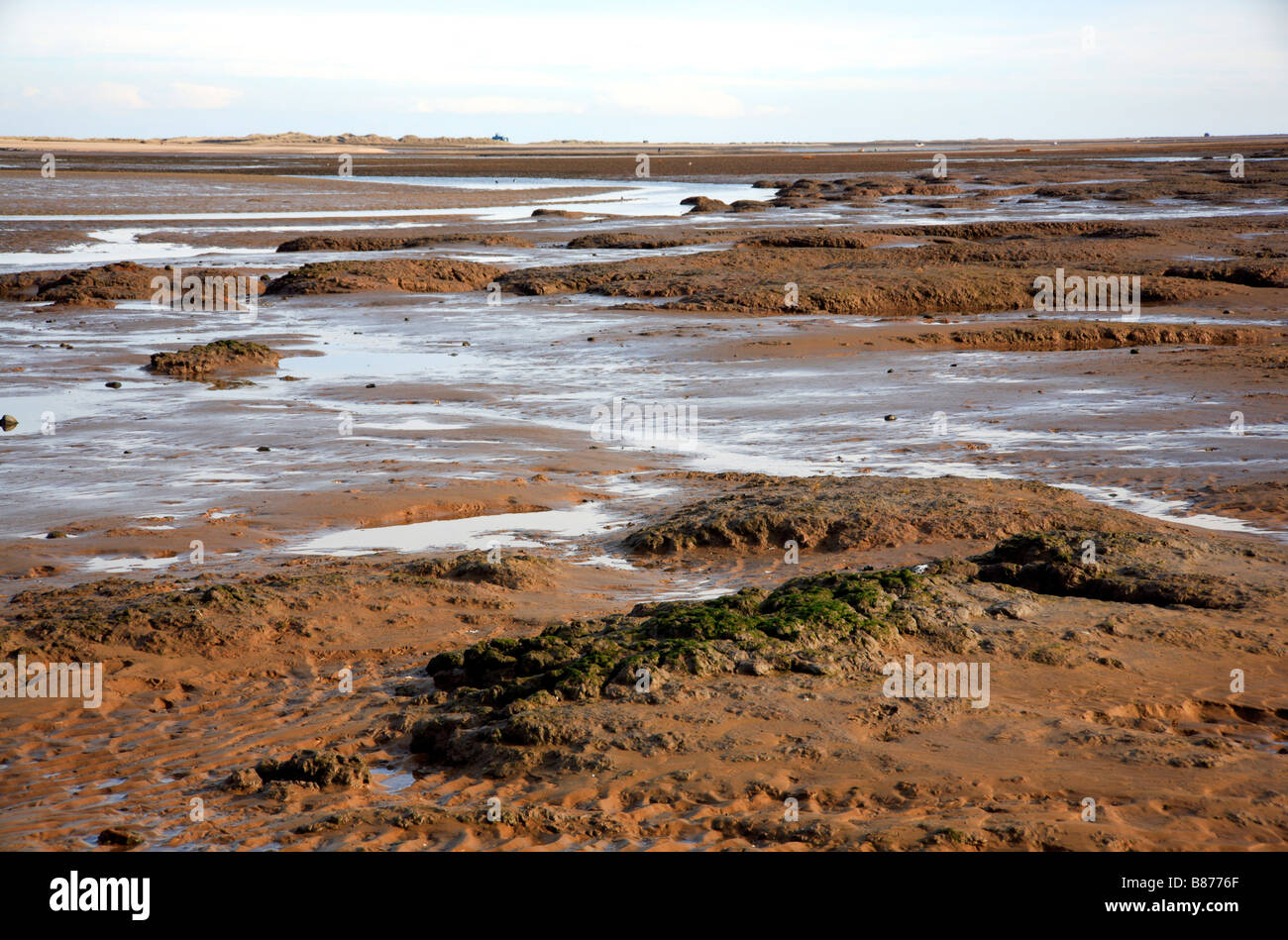 Salt habitat hi-res stock photography and images - Alamy