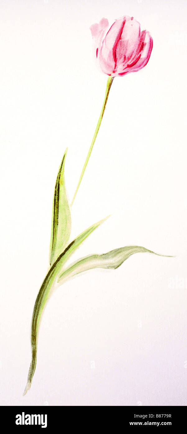 Flowers. Painted canvas tarp Stock Photo - Alamy