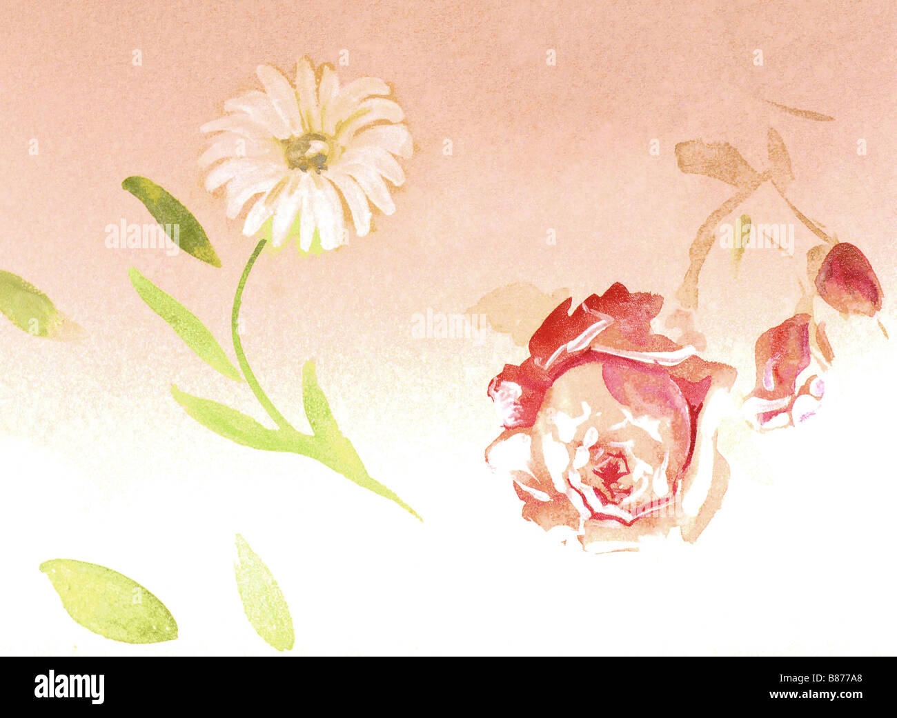 Flowers. Painted canvas tarp Stock Photo - Alamy