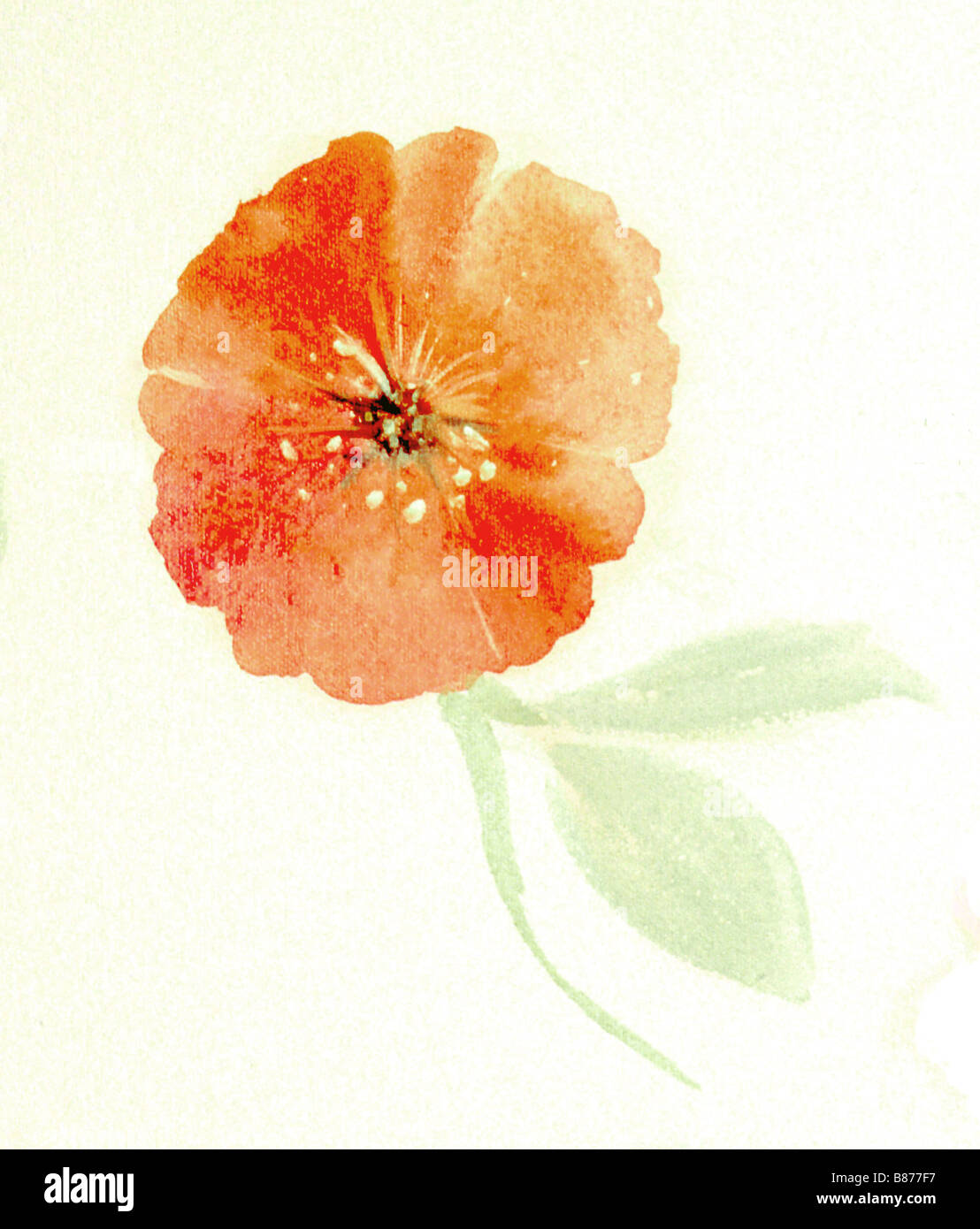 Flowers. Painted canvas tarp Stock Photo - Alamy