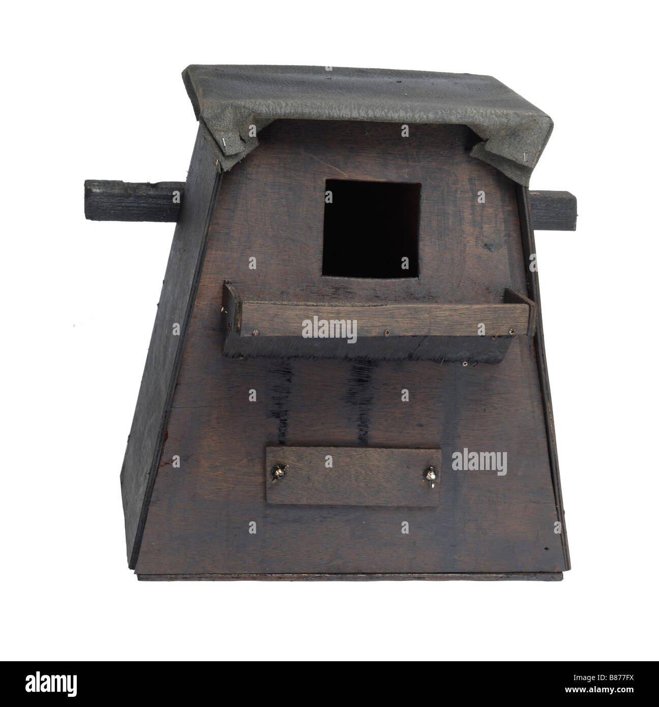 Nesting bird garden Cut Out Stock Images & Pictures - Alamy