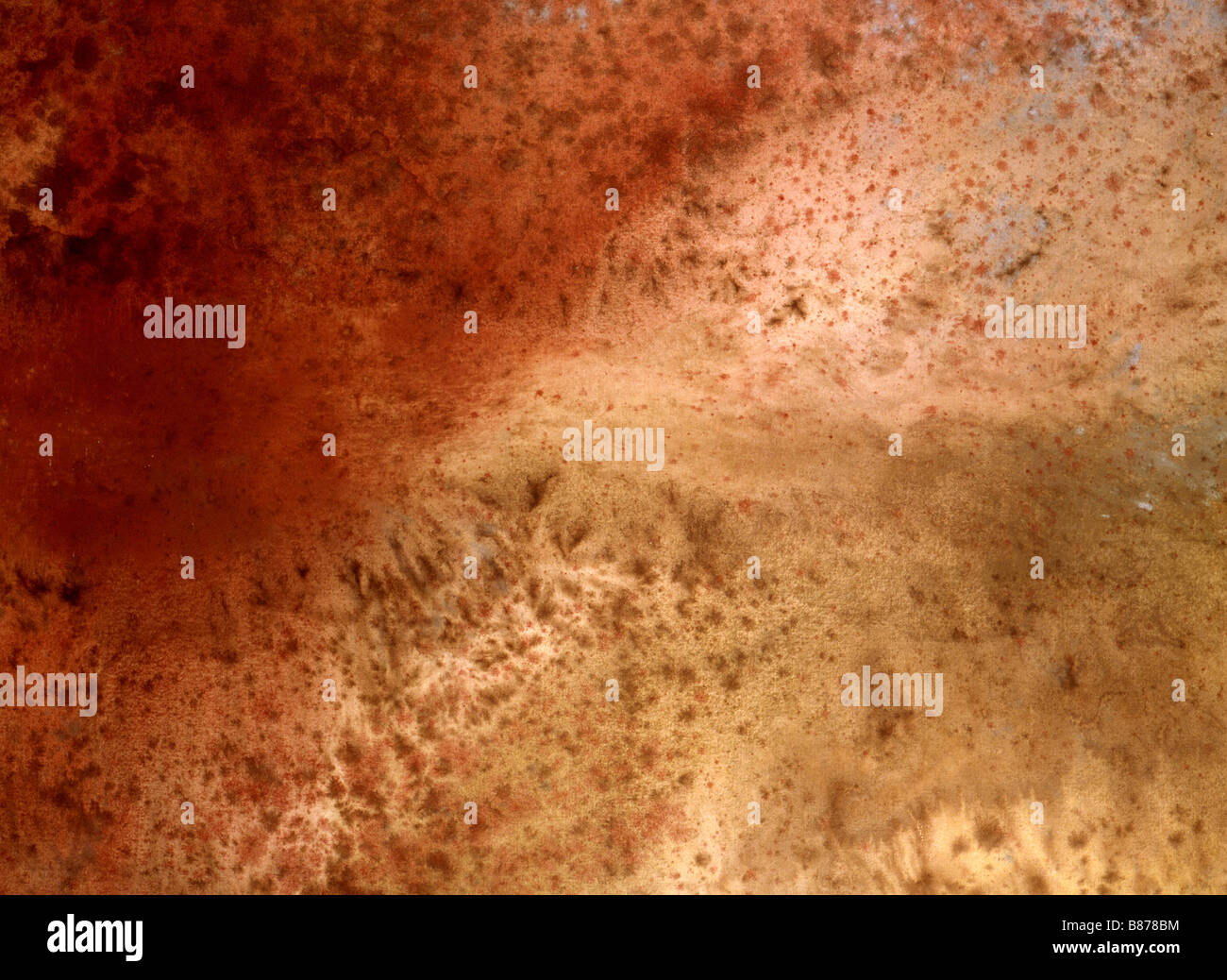 Stippled hi-res stock photography and images - Alamy