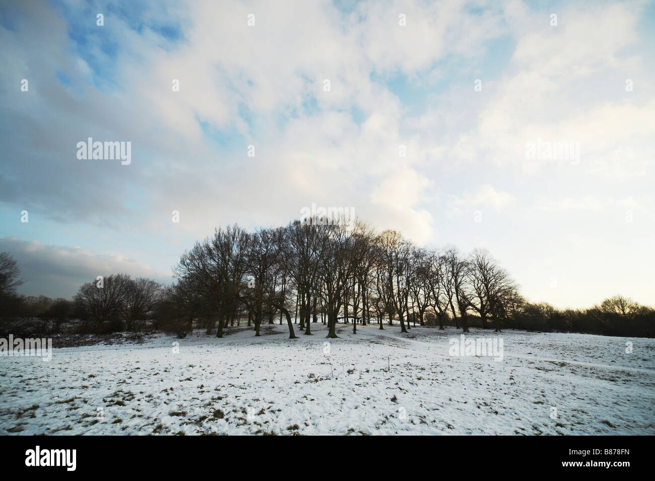 Snow on hampstead heath in london england uk winter snow snowfall Stock ...