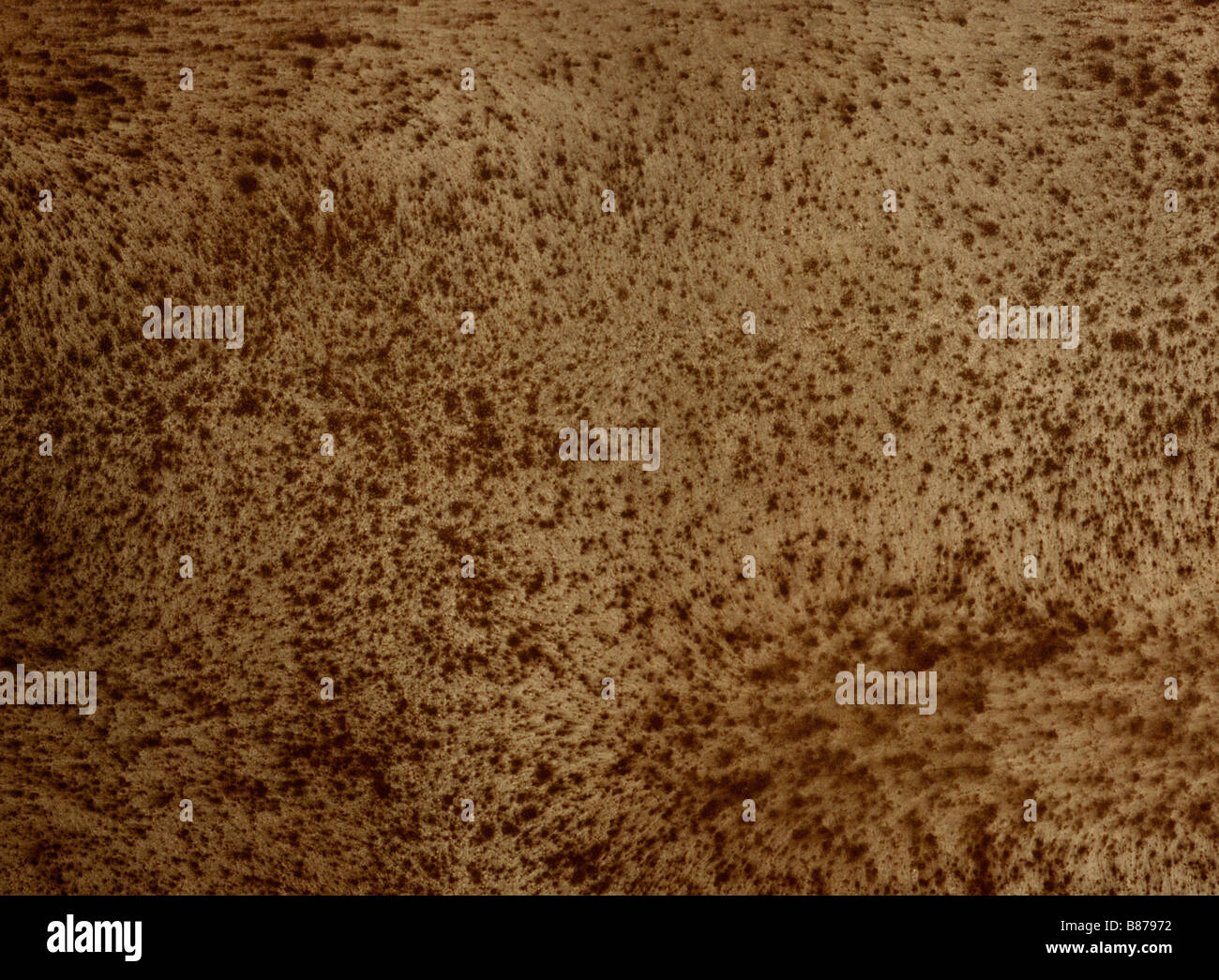 Matter effects. Painted canvas tarp Stock Photo - Alamy