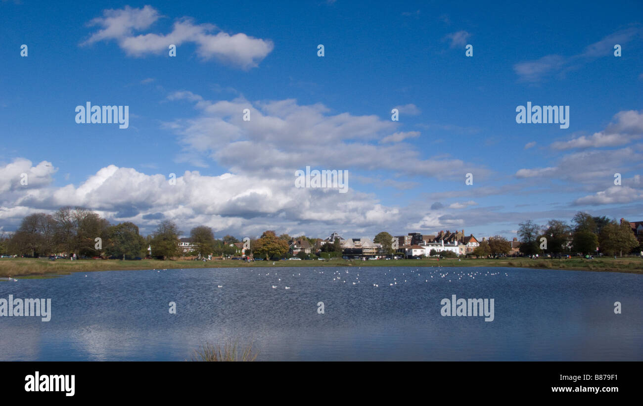Wimbledon common pond hi-res stock photography and images - Alamy