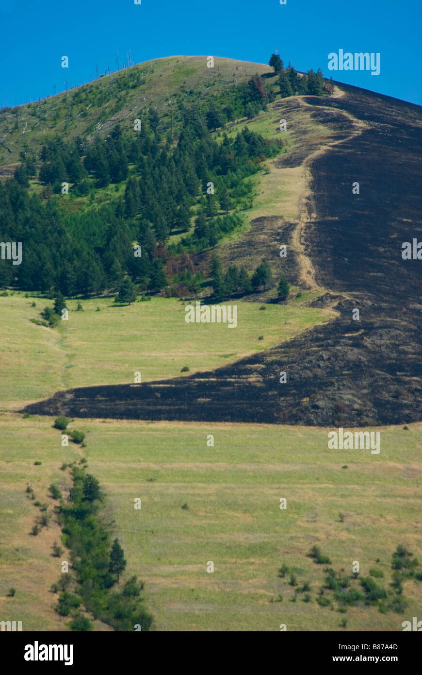 Partially by wild fire burned hill creating a striking contrast between ...