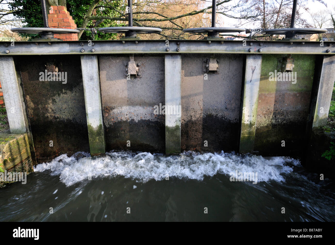 Sluice