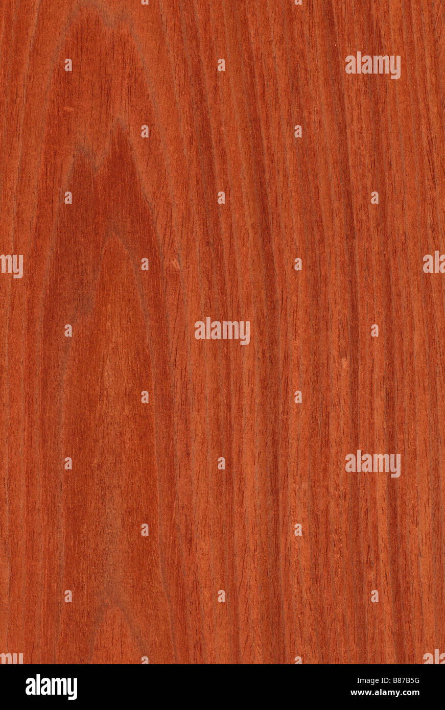Texture of mahogany high detailed wood texture series Stock Photo - Alamy