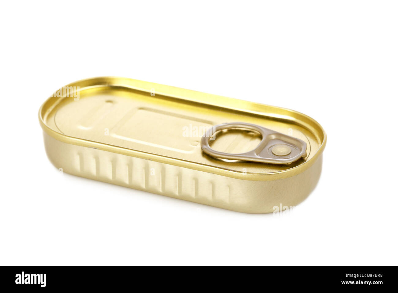 Fish tin can isolated on white background Shallow depth of field Stock ...