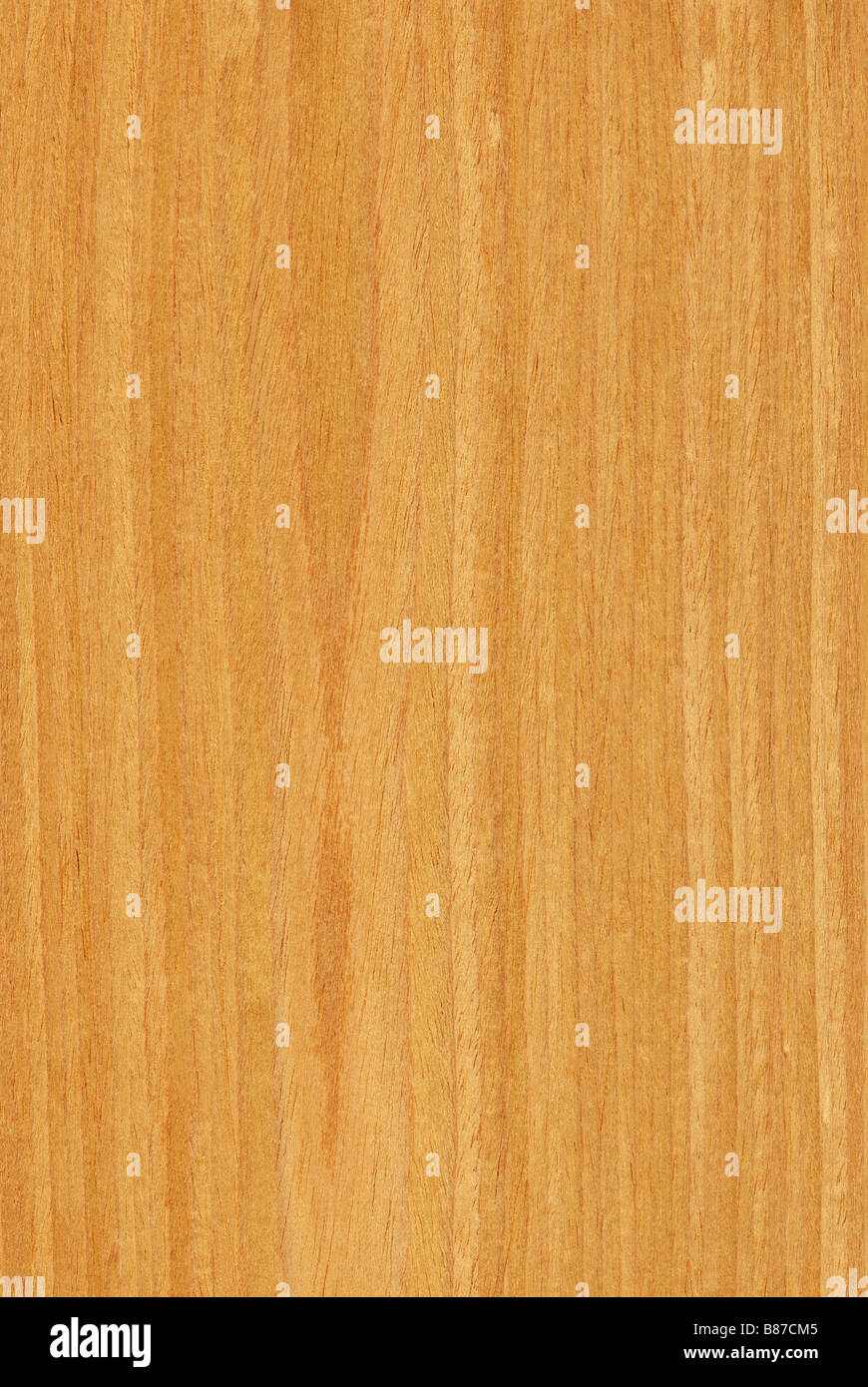 Texture of oak high detailed wood texture series Stock Photo - Alamy