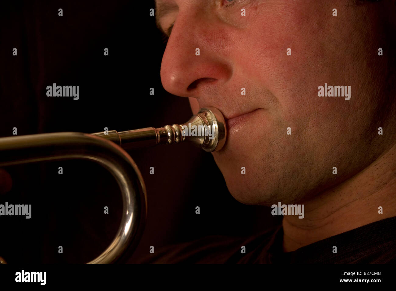 Brass instrument trumpet player hi-res stock photography and images - Alamy