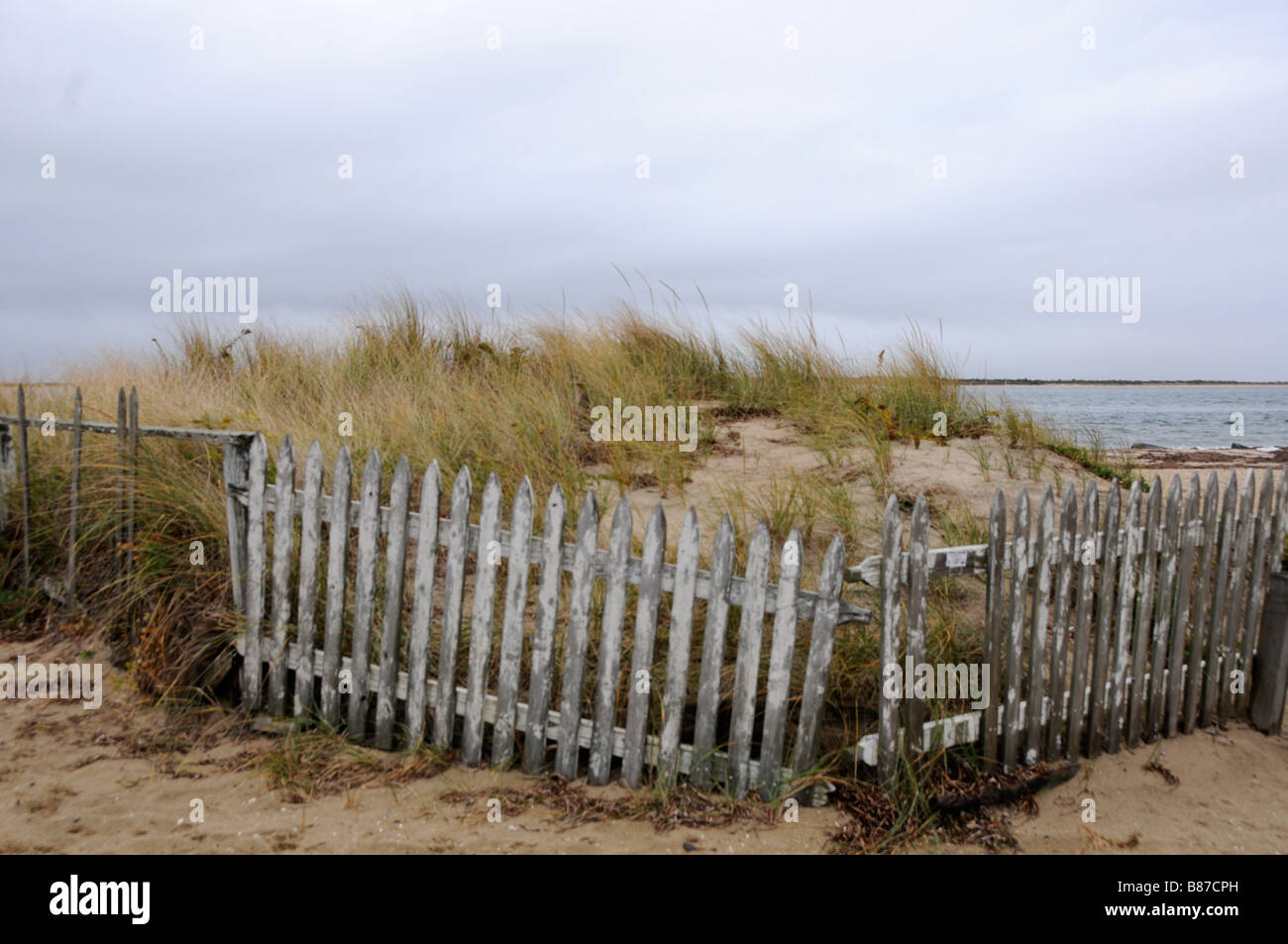 Fence on beach sea in hi-res stock photography and images - Alamy