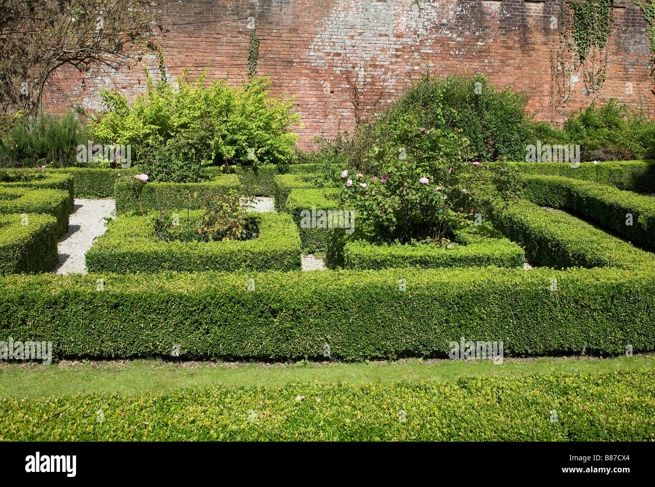 Hedge maze hi-res stock photography and images - Alamy