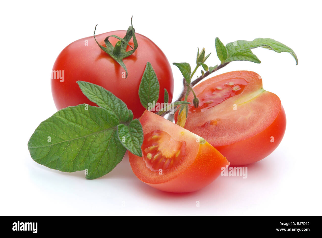 Tomate tomato 18 Stock Photo - Alamy