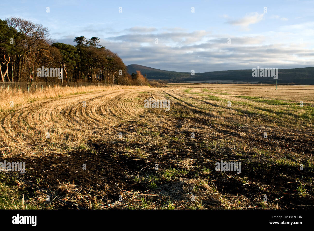 Rathven hi-res stock photography and images - Alamy