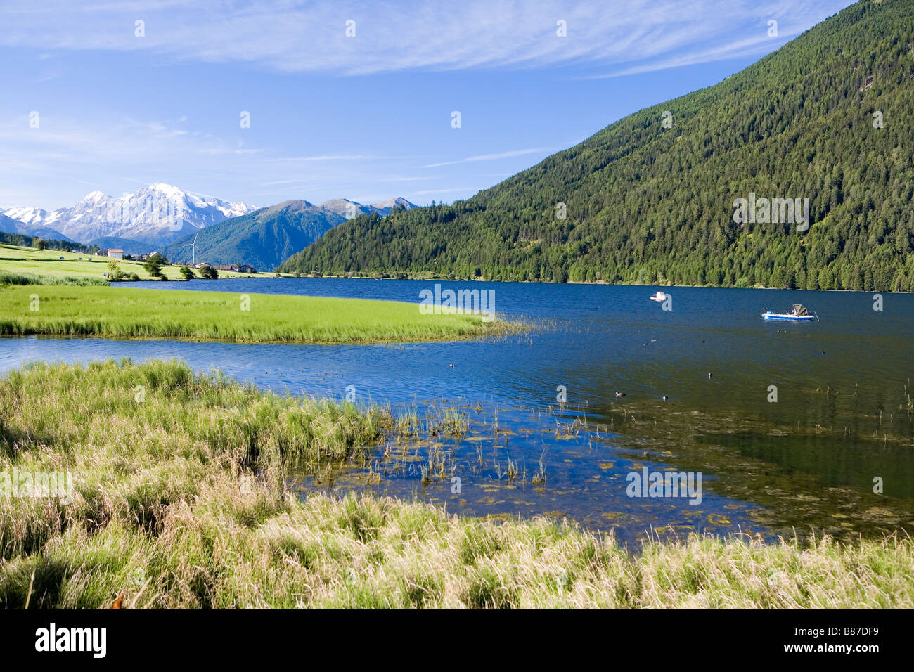 Mutta hi-res stock photography and images - Alamy