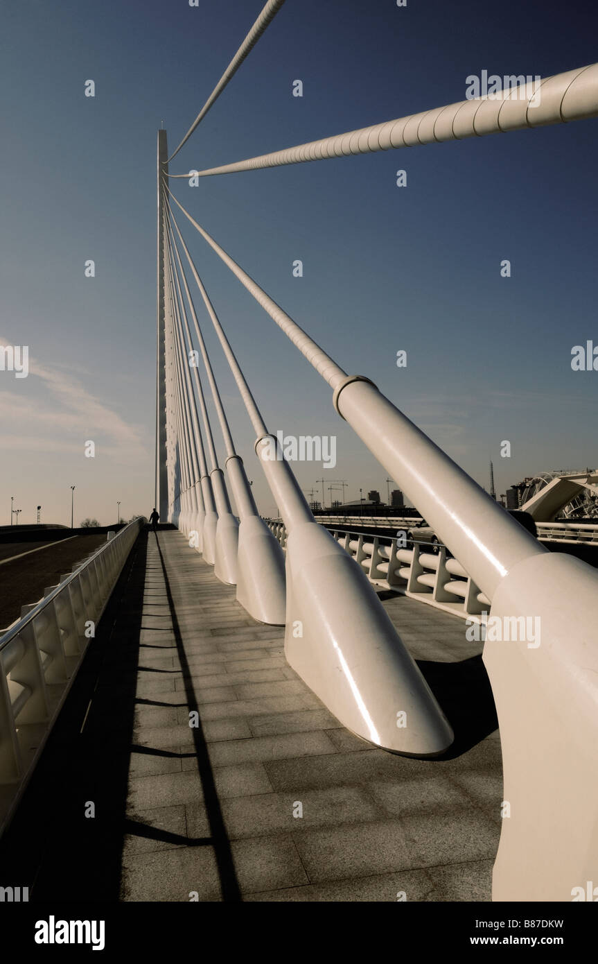 "L'Assut de l'Or" bridge and Museu de les Ciències Príncipe Felipe ...