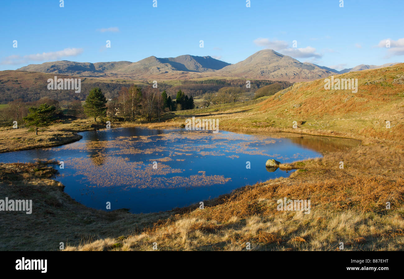 Kelly Hall Tarn, on Torver Common, with Coniston Old Man in the ...
