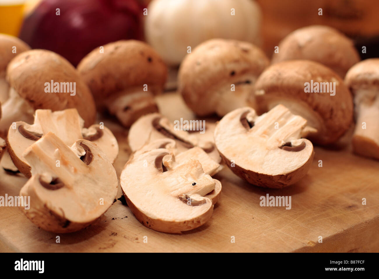 Funghi agaricus hi-res stock photography and images - Alamy