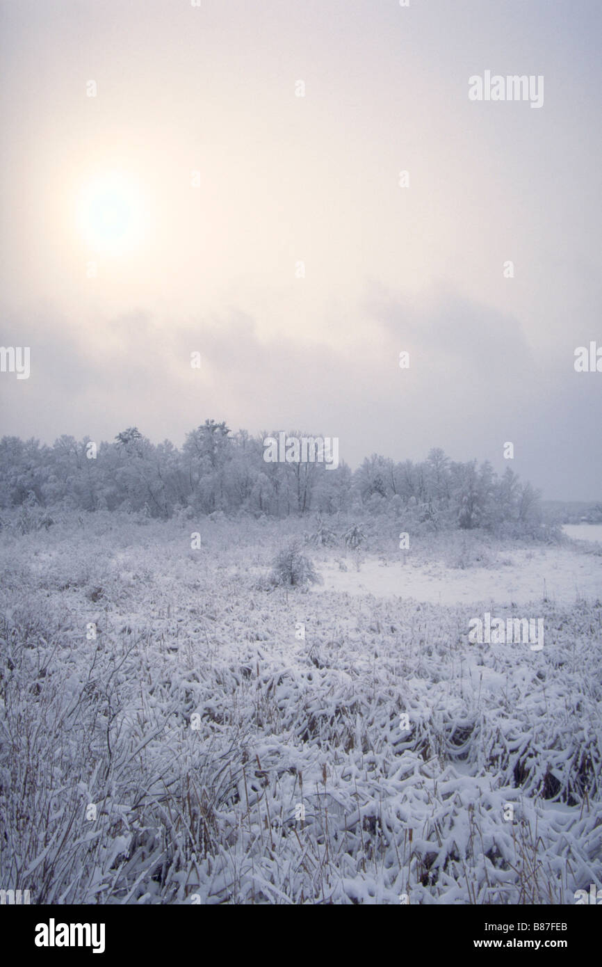 Nisswa hi-res stock photography and images - Alamy