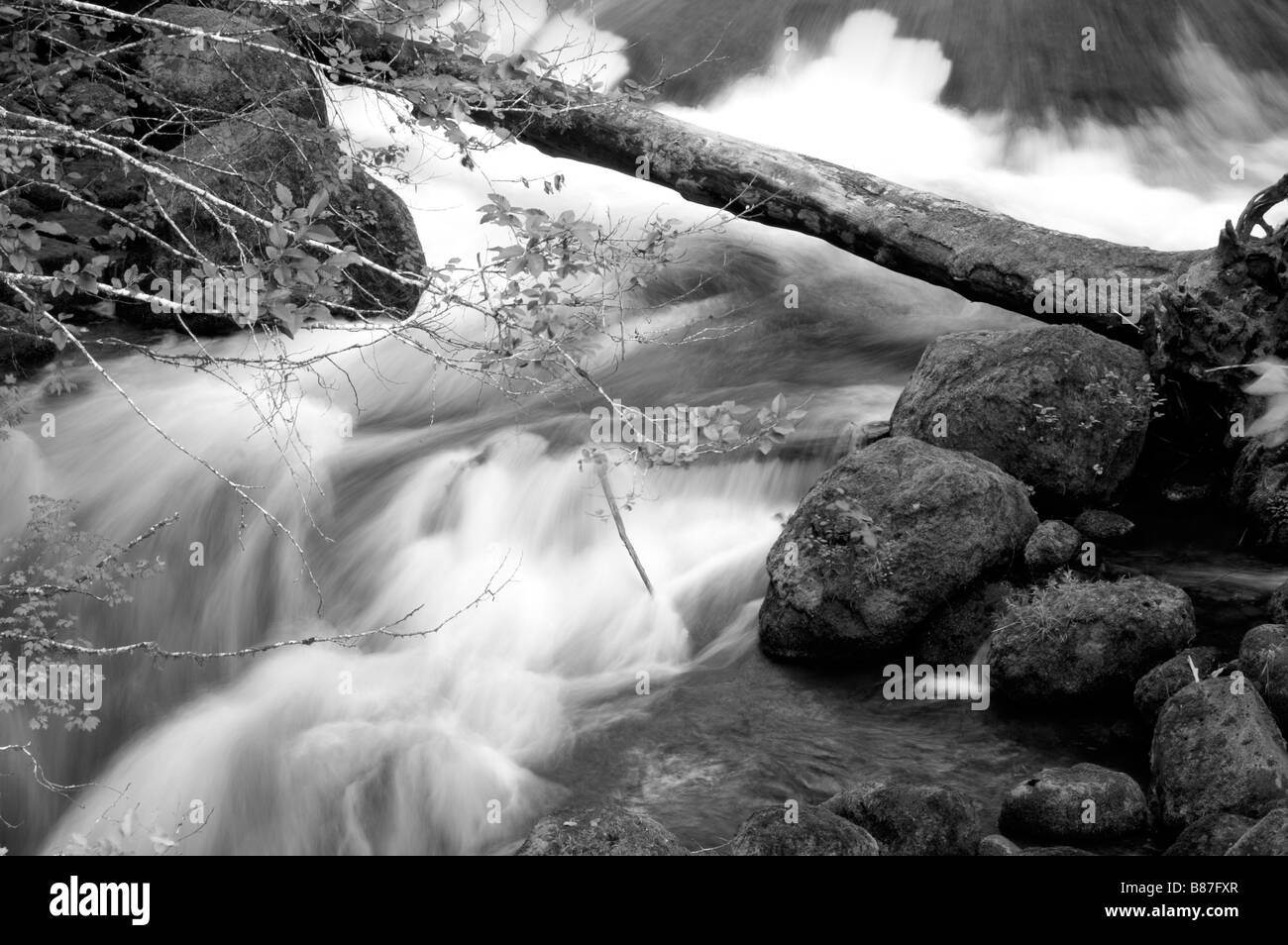 Black and white river hi-res stock photography and images - Alamy