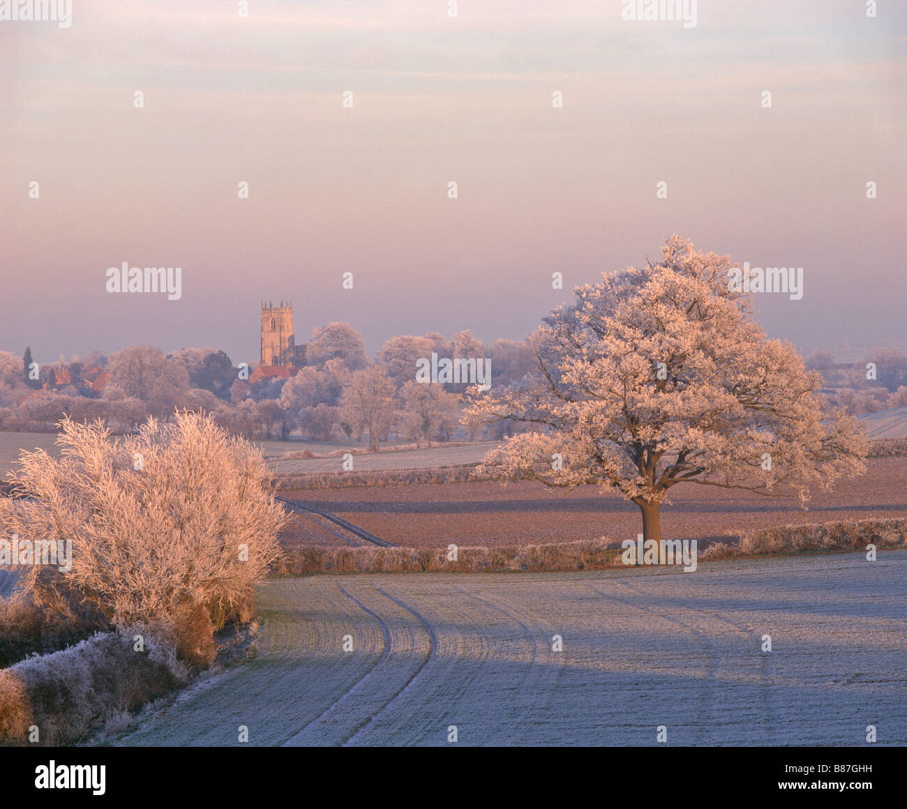 Heavy Frost over East Markham Nottinghamshire England Stock Photo - Alamy