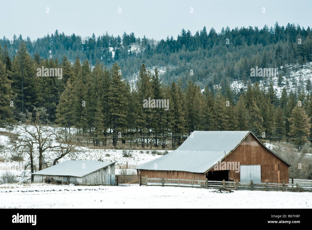 A central Washington state farmscape in winter Stock Photo - Alamy