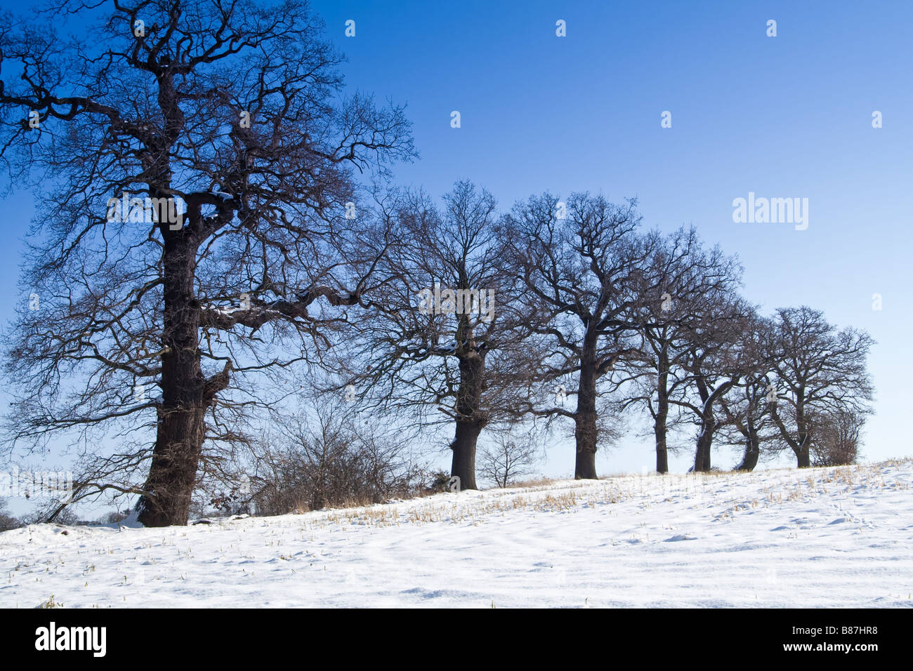 A winter landscape Stock Photo - Alamy