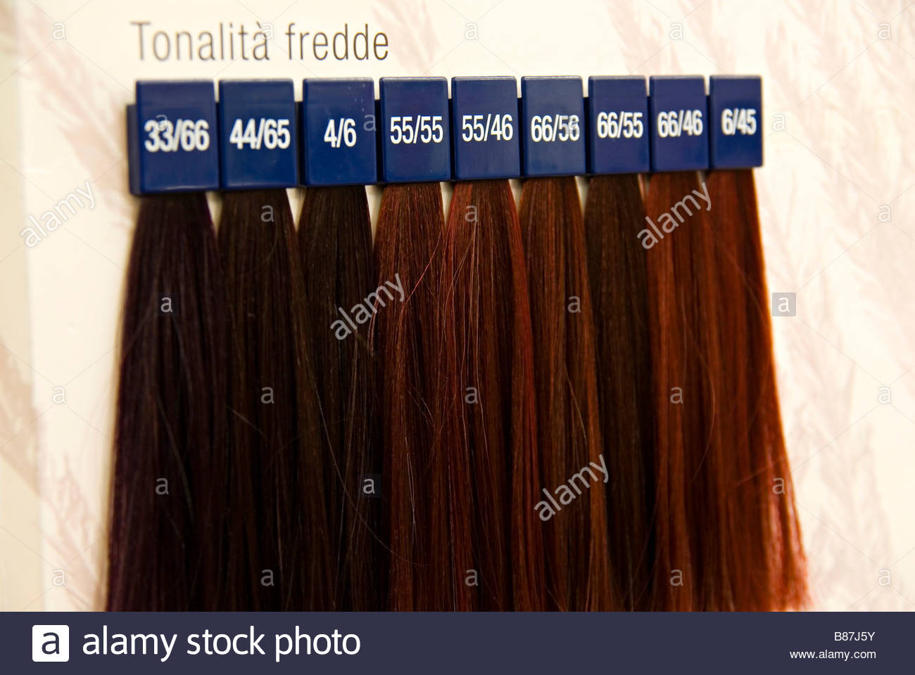 Hair Colours High Resolution Stock Photography and Images - Alamy