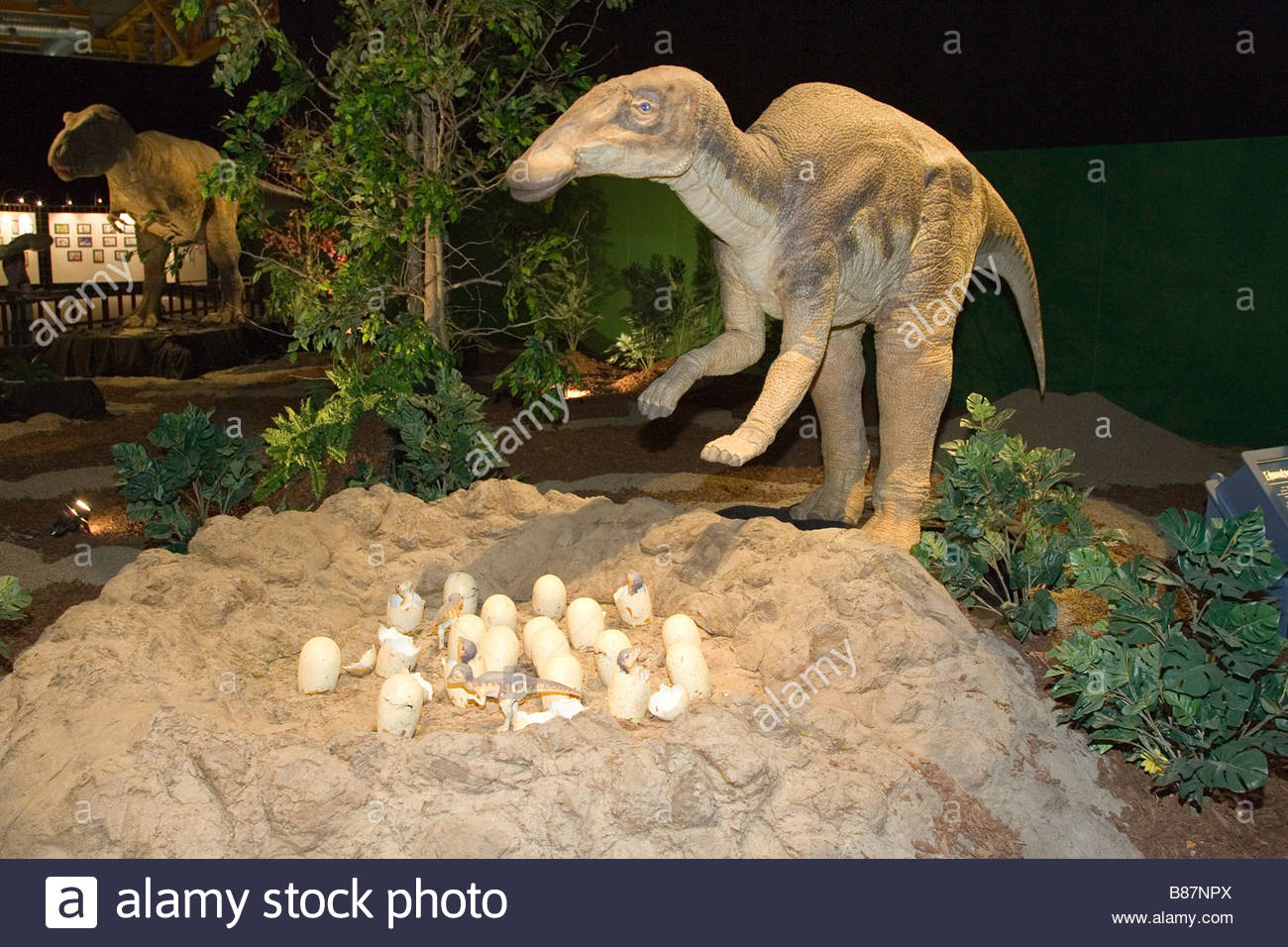 Repro Reproduction High Resolution Stock Photography and Images - Alamy