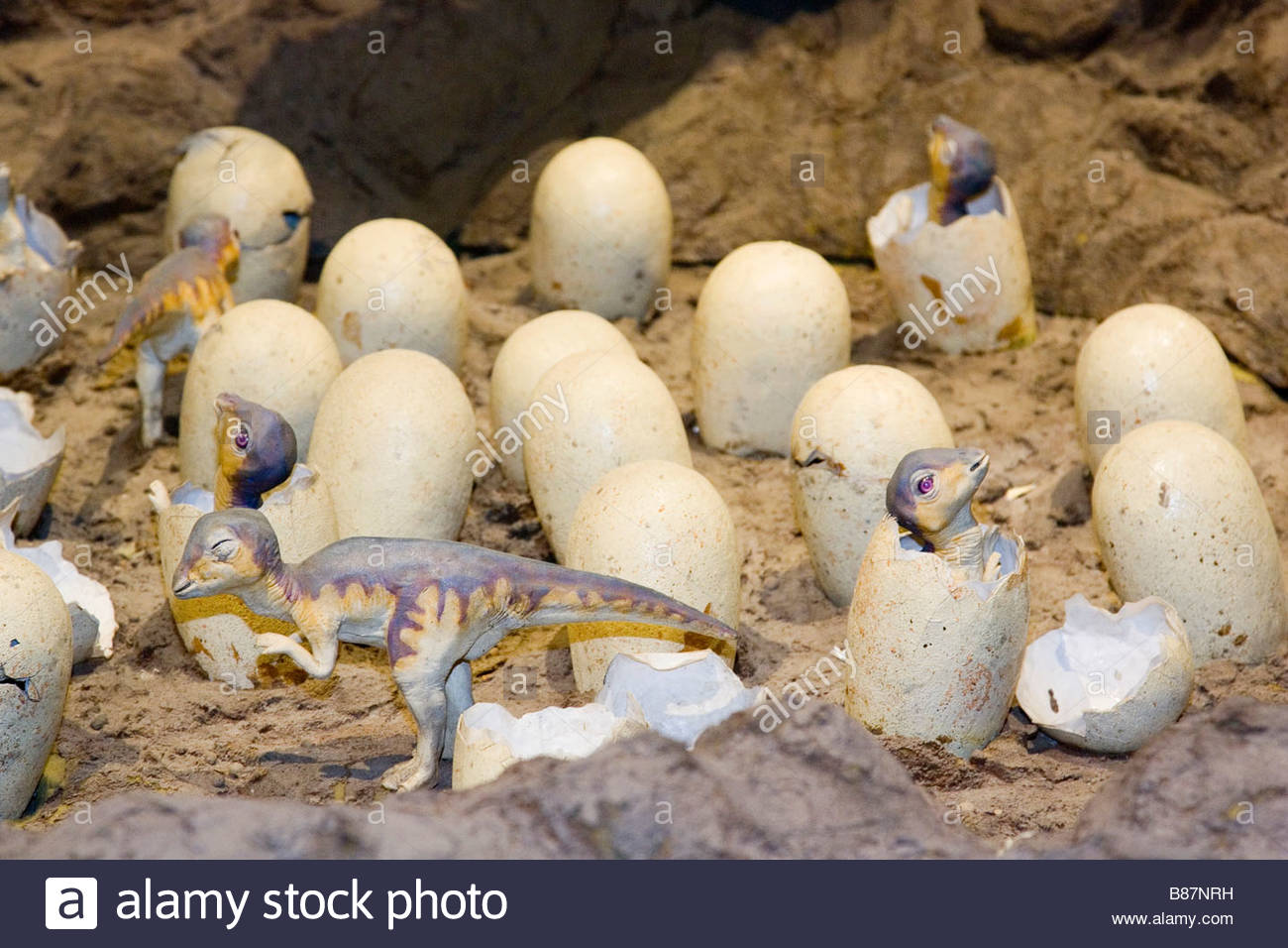 Reproduction Stock Photos & Reproduction Stock Images - Alamy